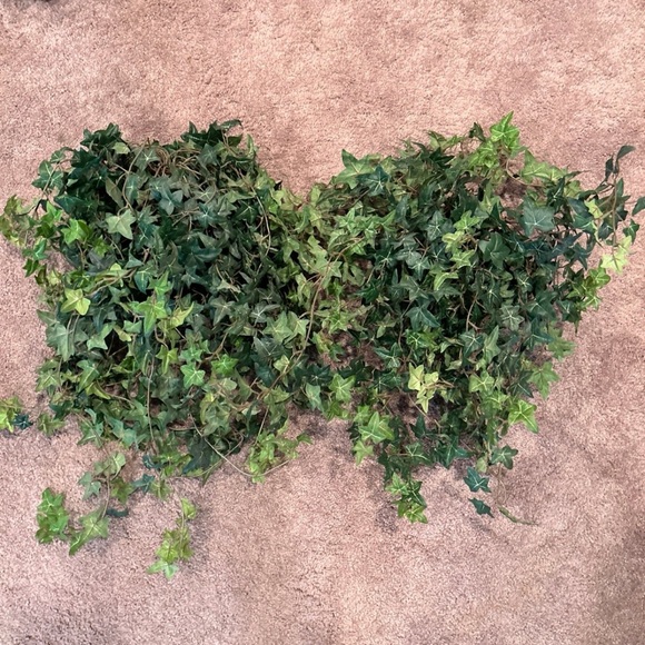 Accents | Set Of 2 Artificial Ivy Cascading Bunches | Poshmark